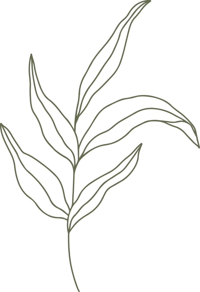 Creating an Elopement Timeline | How to Plan an Elopement