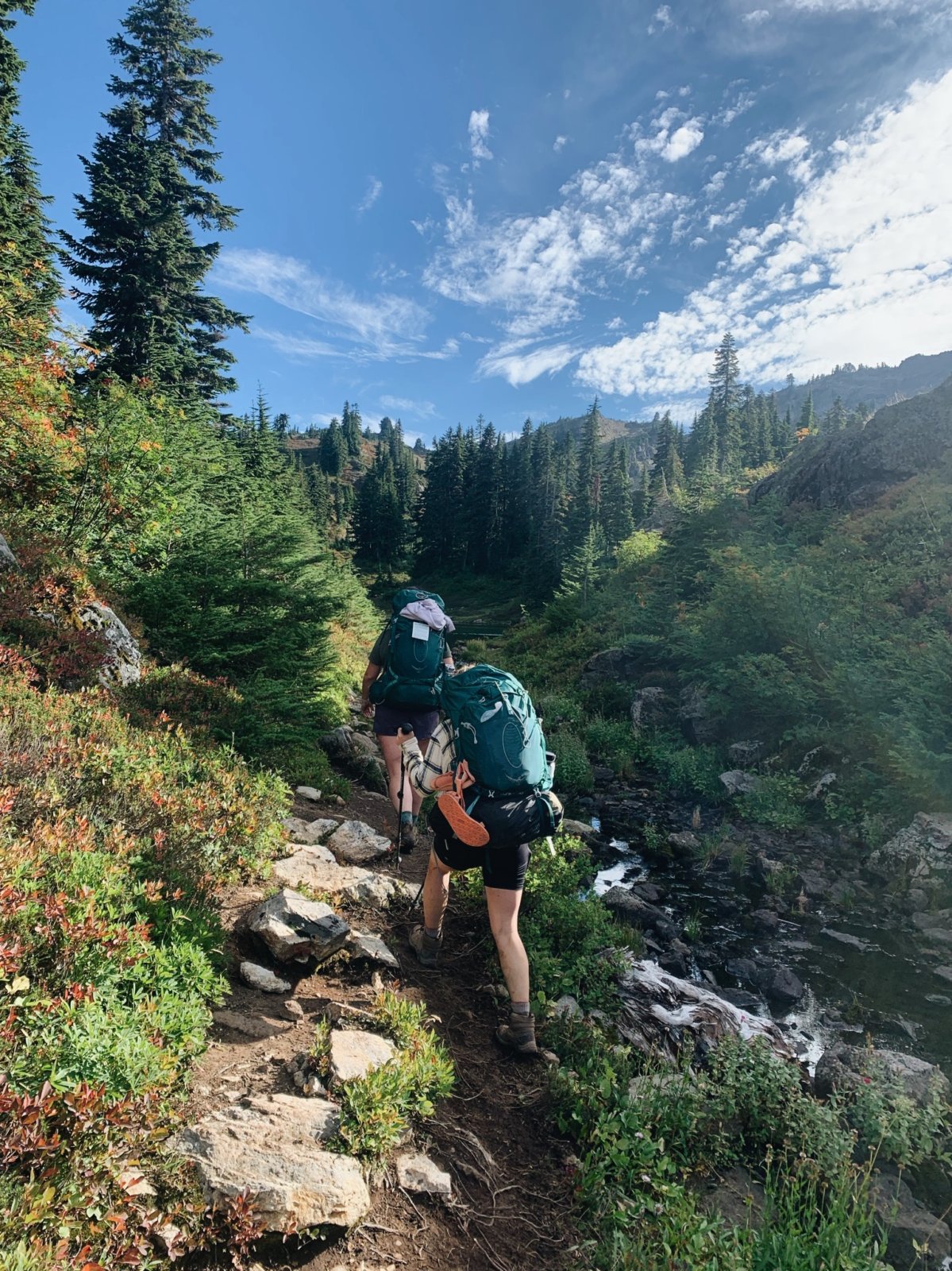 The Best Backpacking Trails in Washington for Beginners